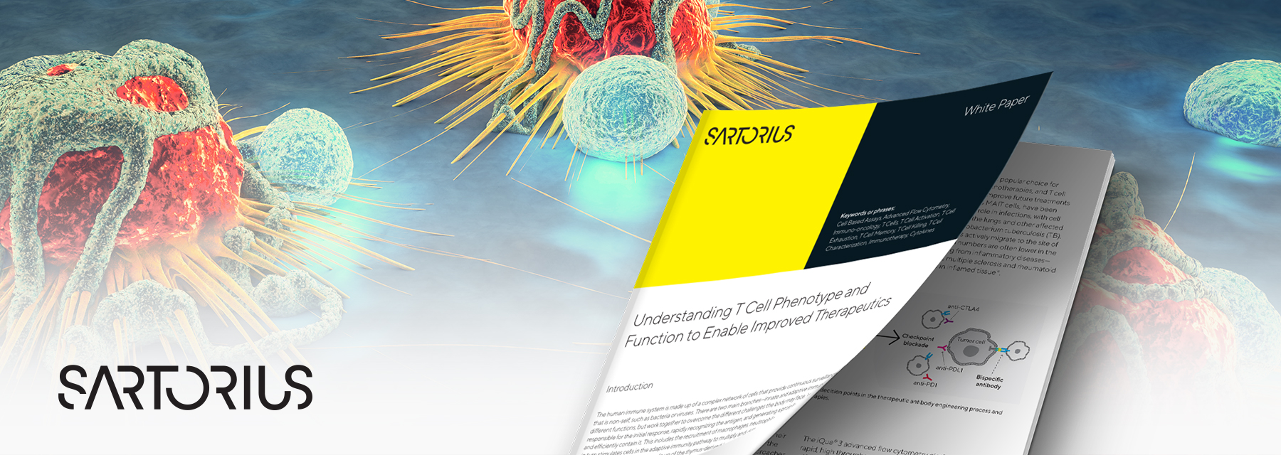 Flow Cytometry Uncovers T Cell Biology